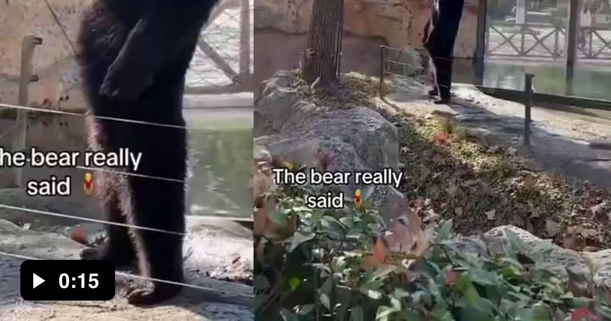 Woooooo ! Actual FURRY, approved? - 9GAG