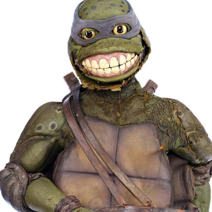 Terrifying Ambien Nightmare Turtle - 9GAG