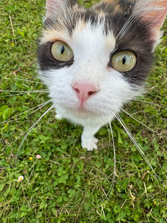 Shes like: "Got any treats in there?" - 9GAG