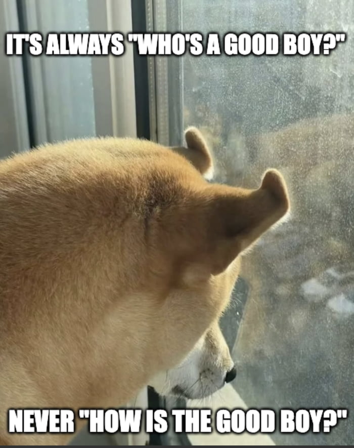 That's ruff buddy - 9GAG