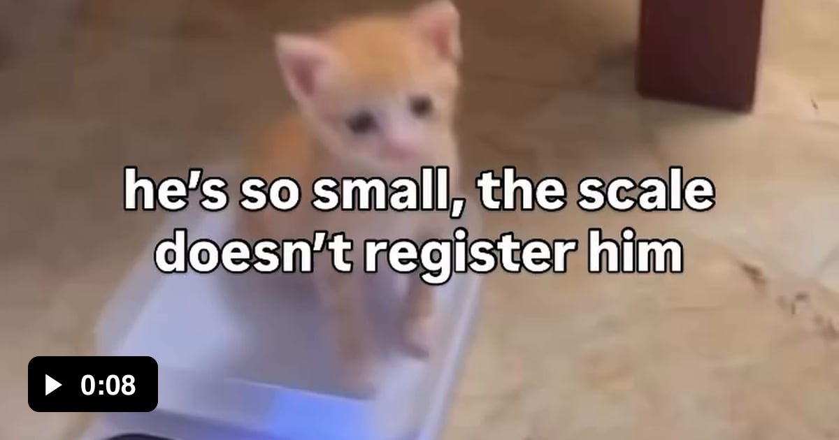Bro is so smol the scale cant even see him - 9GAG