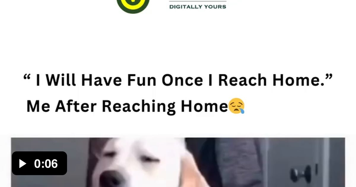 -I Will Have Fun Once I Reach Home.” Me After Reaching Home. - 9GAG