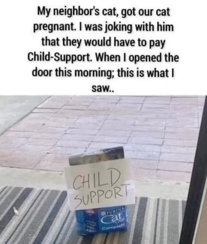 Neighbor understood the assignment - 9GAG