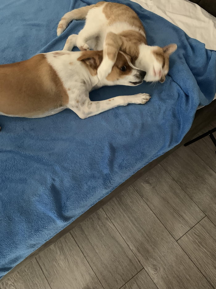 "Just give me a hug" -"nooo" 🤣🤣 - 9GAG