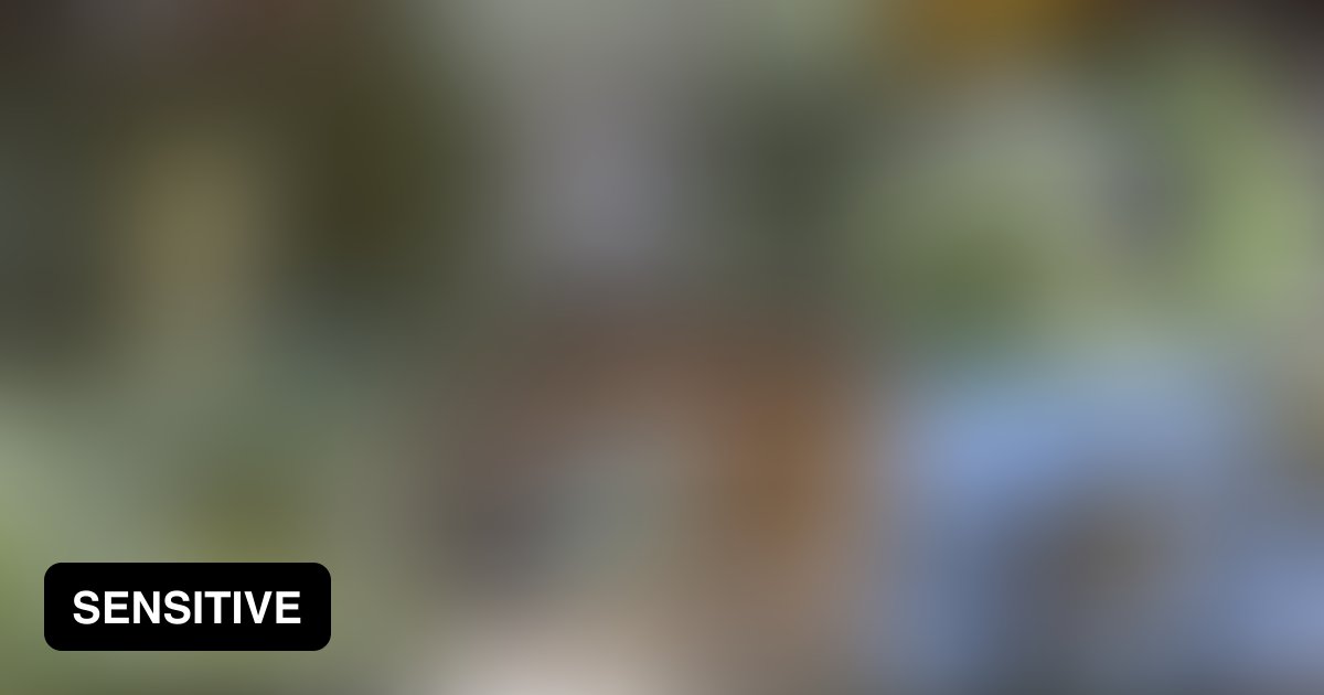 Collage of tits . Different types, sizes and colors. - 9GAG