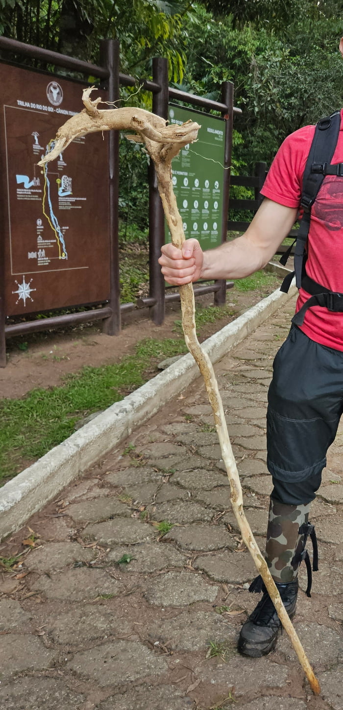 An old druid stick - 9GAG