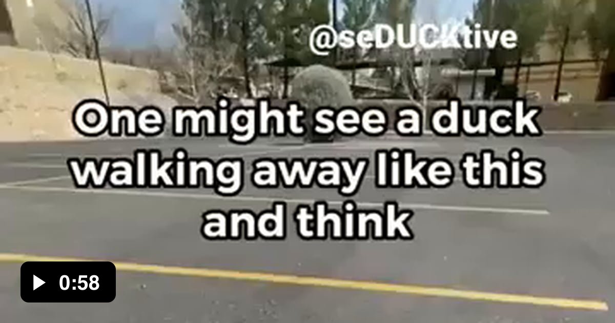 How to pick up a duck - 9GAG