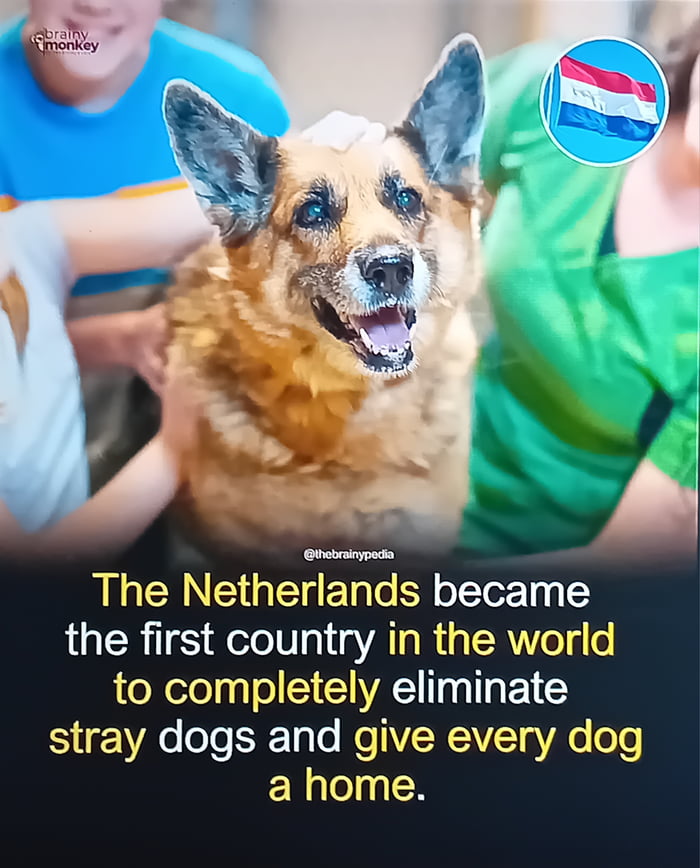Not so much but sometimes i'm proud to be Dutch. - 9GAG