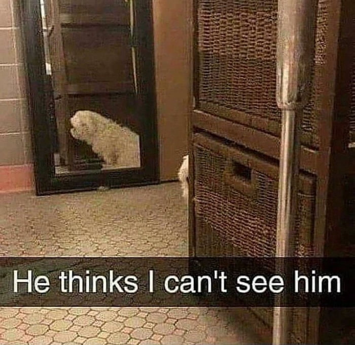 Stealth level: Expert? - 9GAG