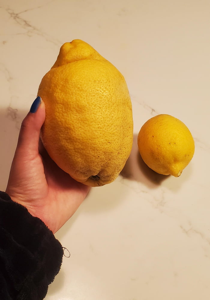 Of big ol lemon - 9GAG