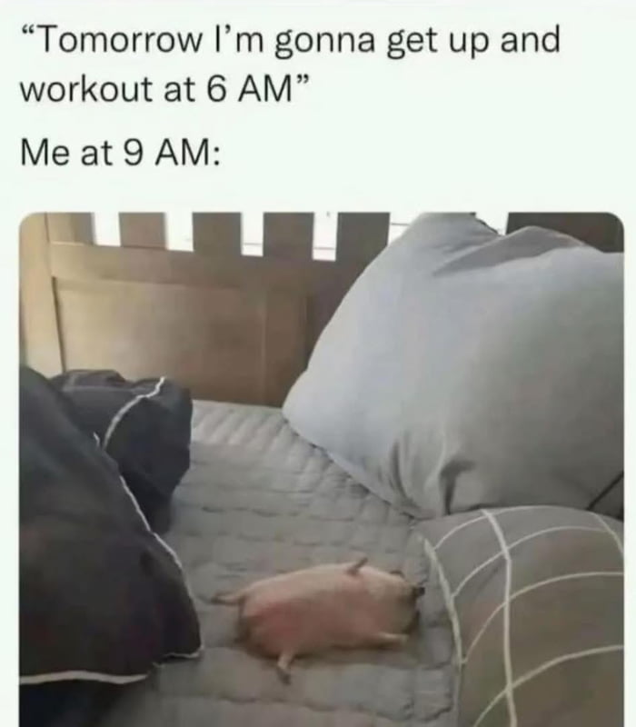 My workout plan vs. my actual morning. - 9GAG