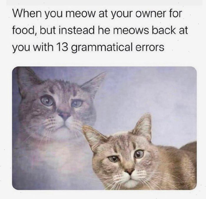 The misunderstanding - 9GAG