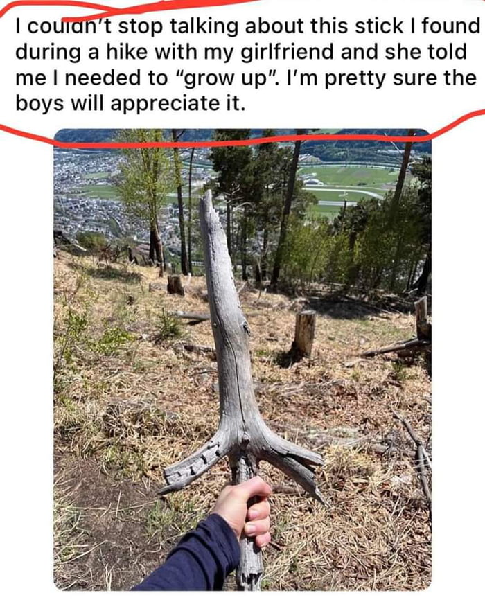 Nothing like a good stick. - 9GAG