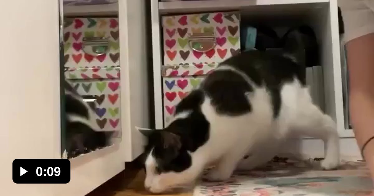 Jus checkin. Ok, put it back now - 9GAG