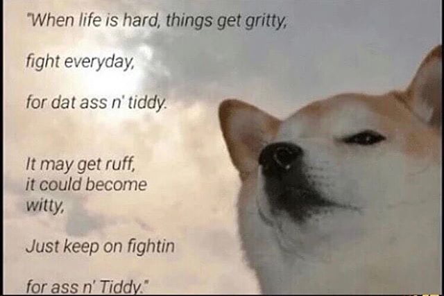 Fight for that ass n' tiddy - 9GAG