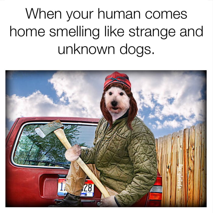 Don't cross the pupper. - 9GAG