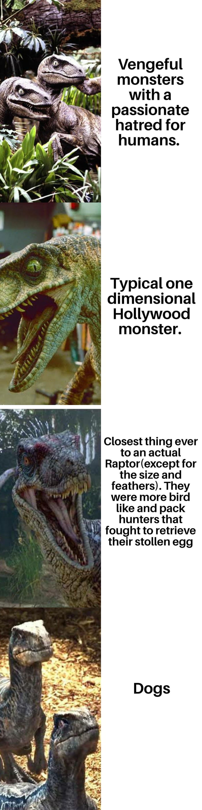 I like the JP3 raptors the most, even though the movie wasn't that ...