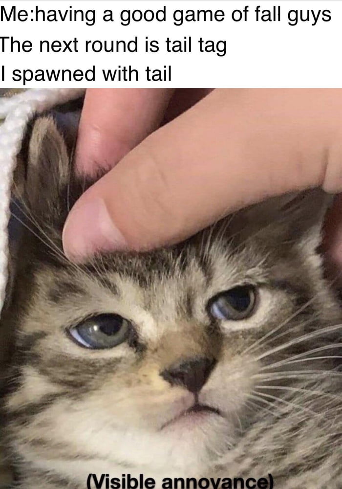 Tail tag more like tail lag - 9GAG