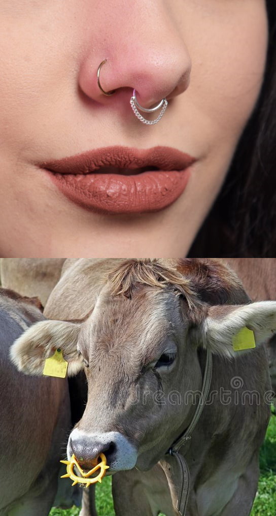 Only I think that kind of piercing disgusting? - 9GAG