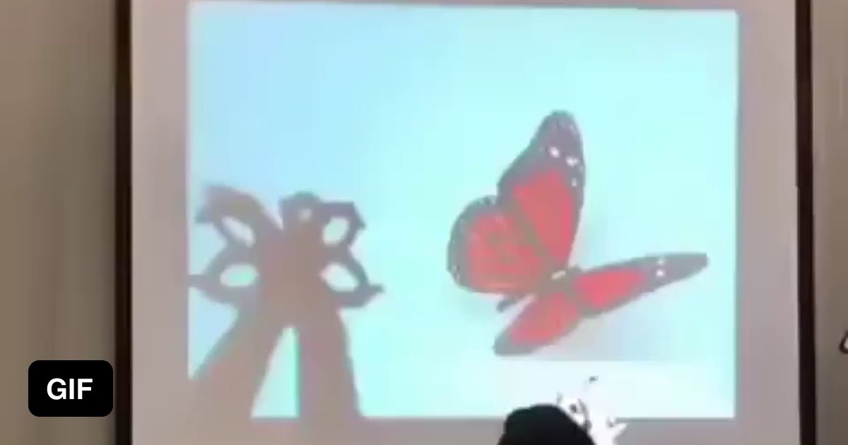 This guy's masterful shadow puppets. - 9GAG