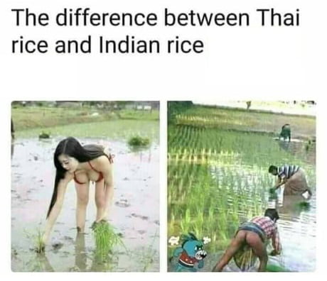 Fertilizing the fields directly, very efficient - 9GAG