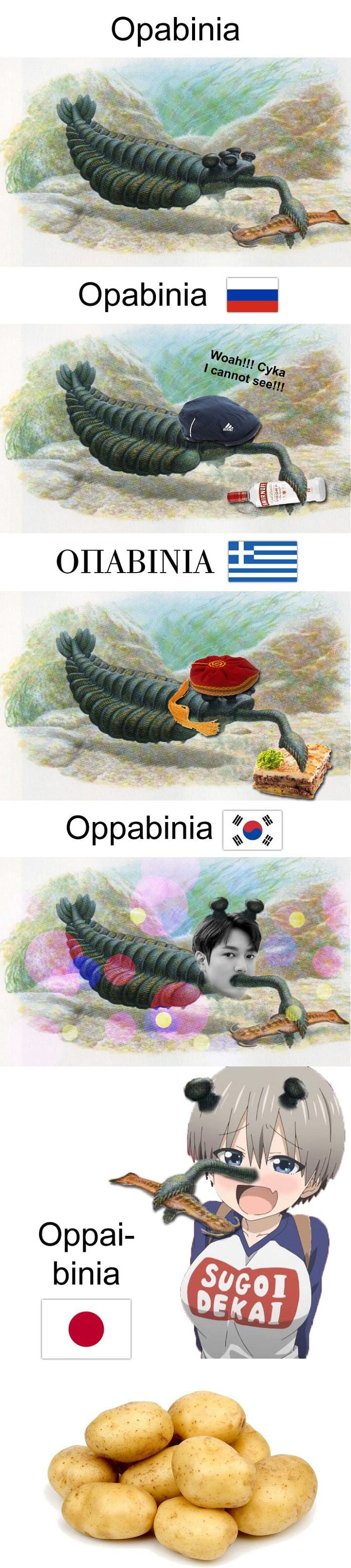 A Cambrian period meme - 9GAG