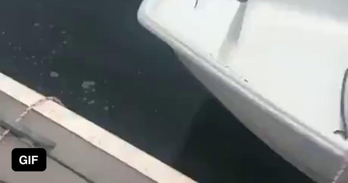 Hurr durr durr Imma engine now hooman! - 9GAG