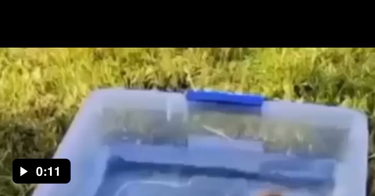 This is some real sheeeeit - 9GAG