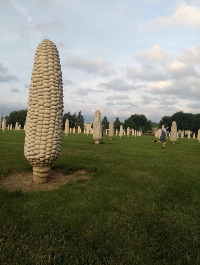 Everything is on a cob! - 9GAG