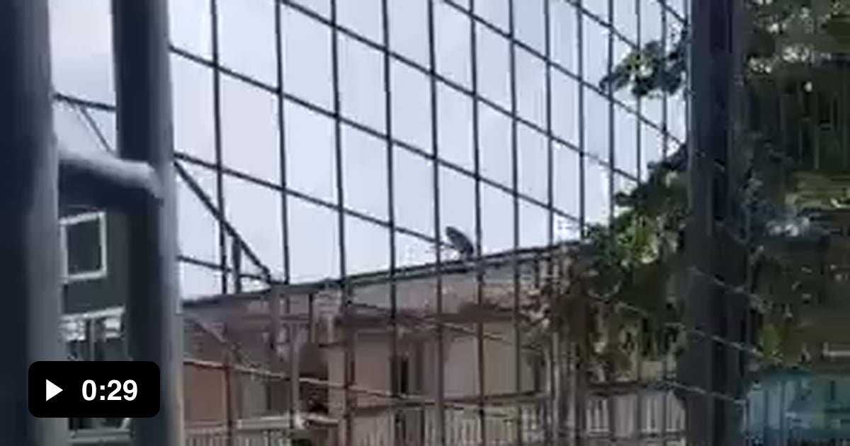 Instant replay basket ball - 9GAG
