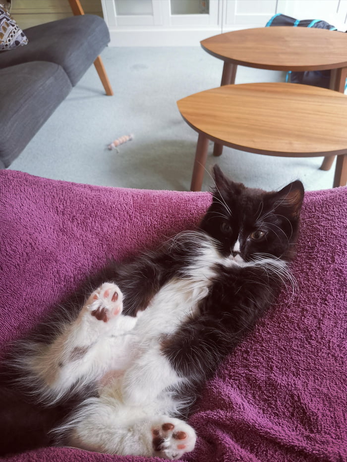 This little delinquent accosted me to show off his toe beans. - 9GAG