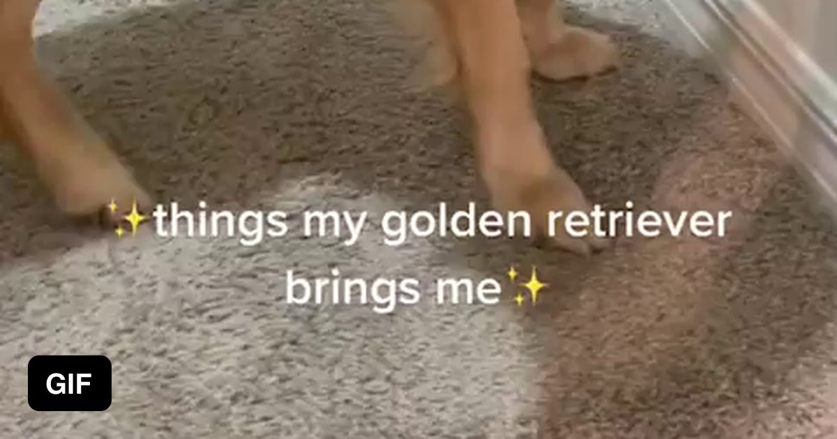 Retrieving things for you - 9GAG