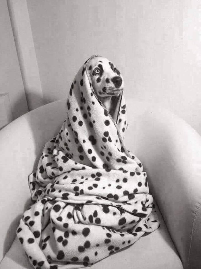 Invisible cloak - 9GAG