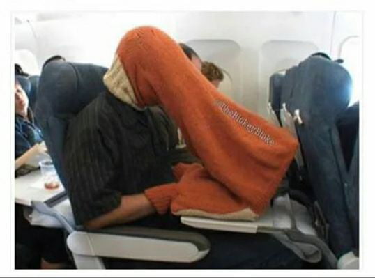 A Thneed's a Fine-Something-That-All-People-Need! It’s a shirt. It's a ...