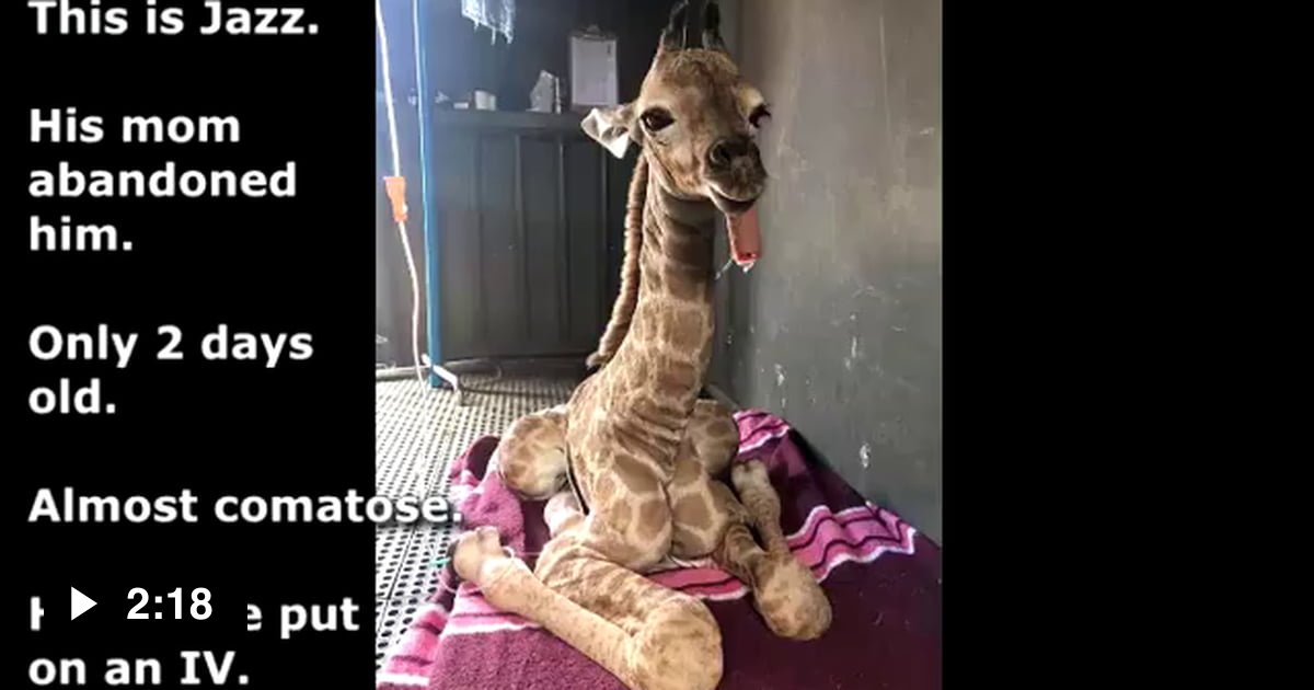 All That Jazz. - 9GAG