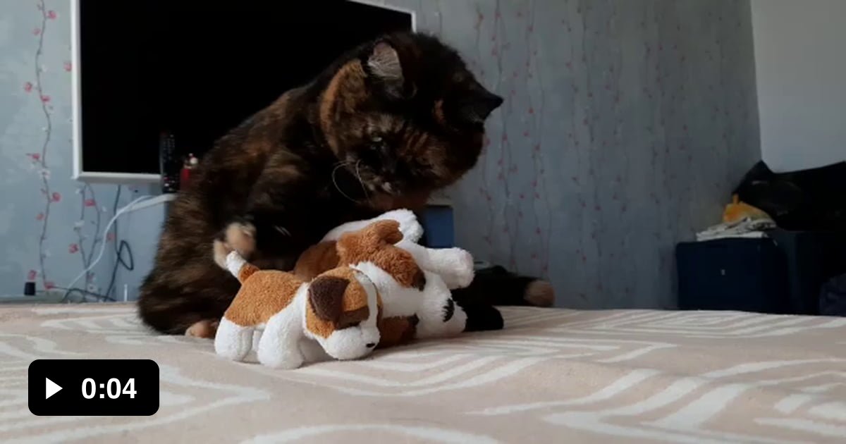 Inspector Cat - 9GAG