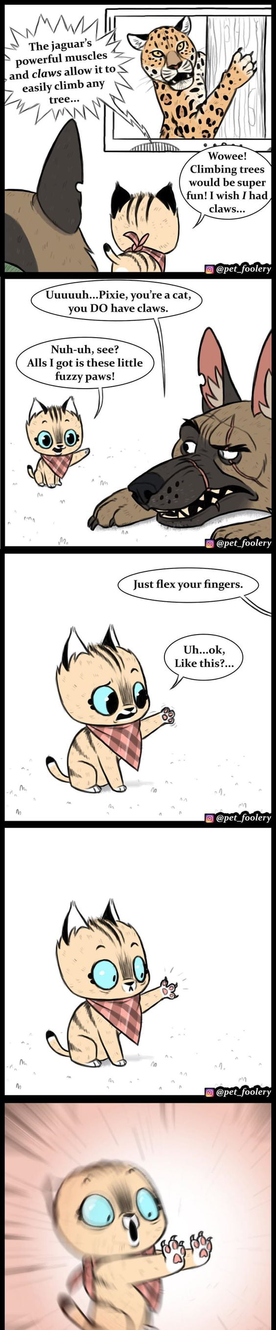 Brutus and Pixie-Cuteness level is over 9000!! - 9GAG