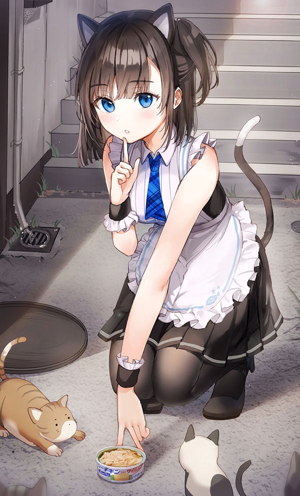Neko maid feeding cats behind the store - 9GAG