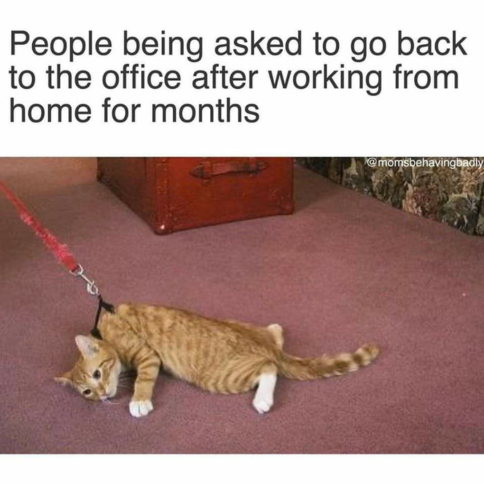 Do We Really Have To Go Back 9GAG do-we-really-have-to-go-back-9gag