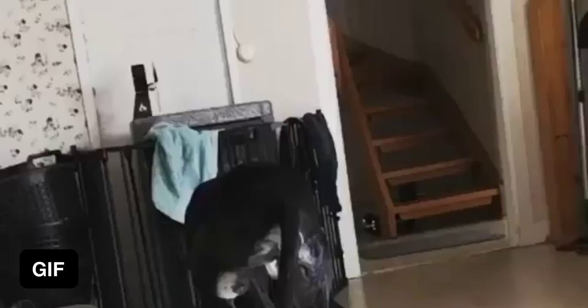 This little old lady has a peculiar tic. She decides that some floors ...