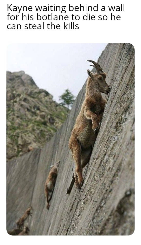 Aaaand, its bot diff. - 9GAG