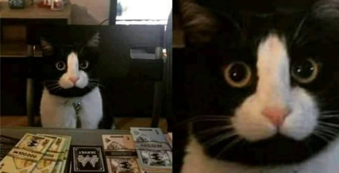 Maybe it's time to stop asking questions and start having fun. - 9GAG