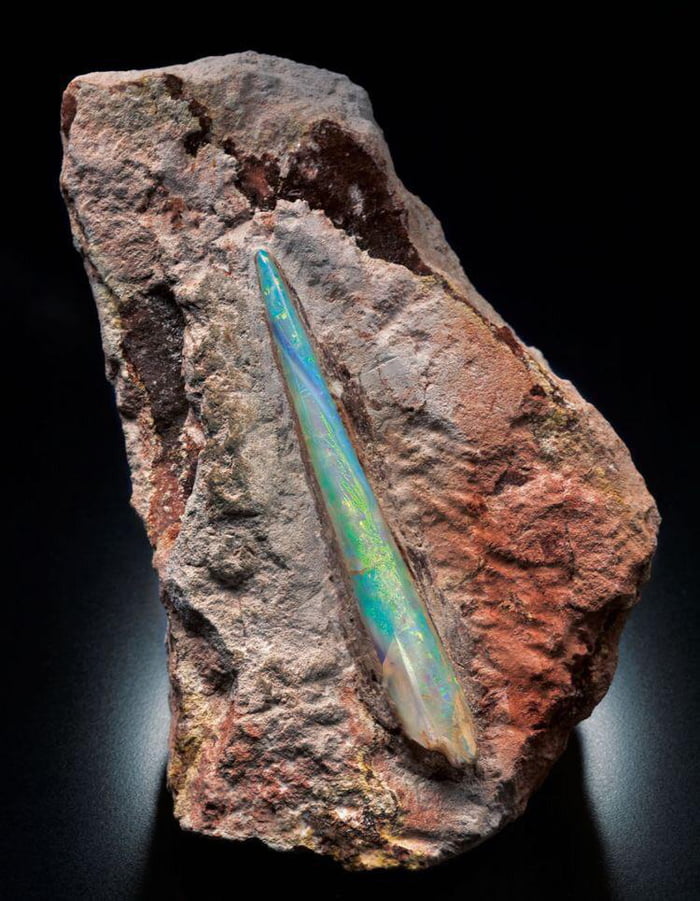An opalised Belemnite fossil from the Jurassic period. Similar to a ...