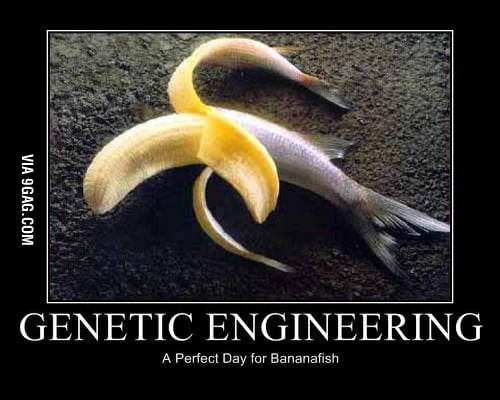 Genetic engineering - 9GAG