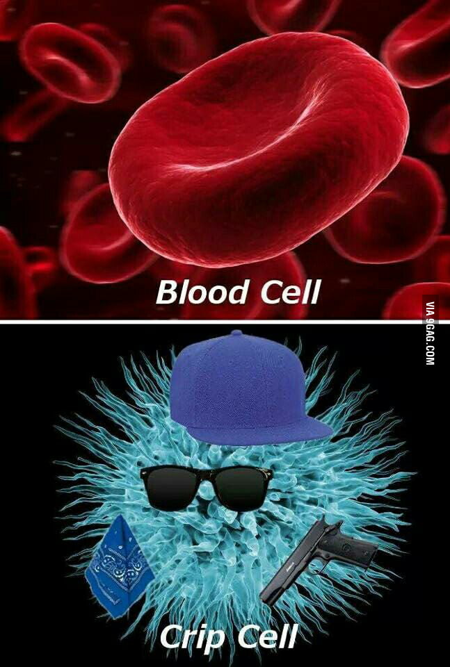 C-Walk, homie. - 9GAG