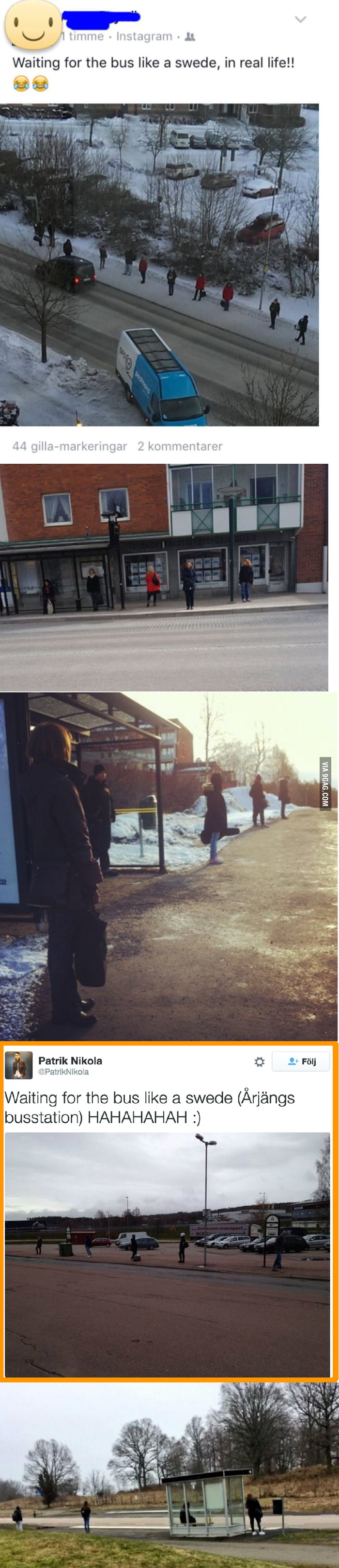 Swedish people waiting for the bus Part 1 - 9GAG