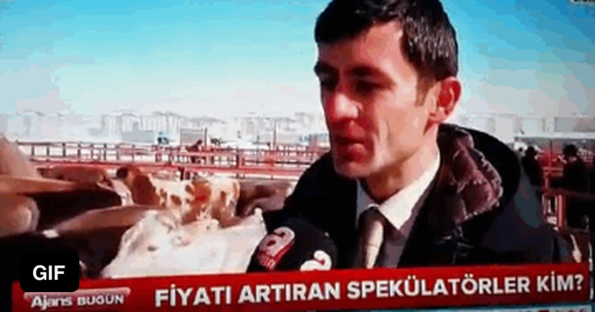 Meanwhile in Turkey - 9GAG