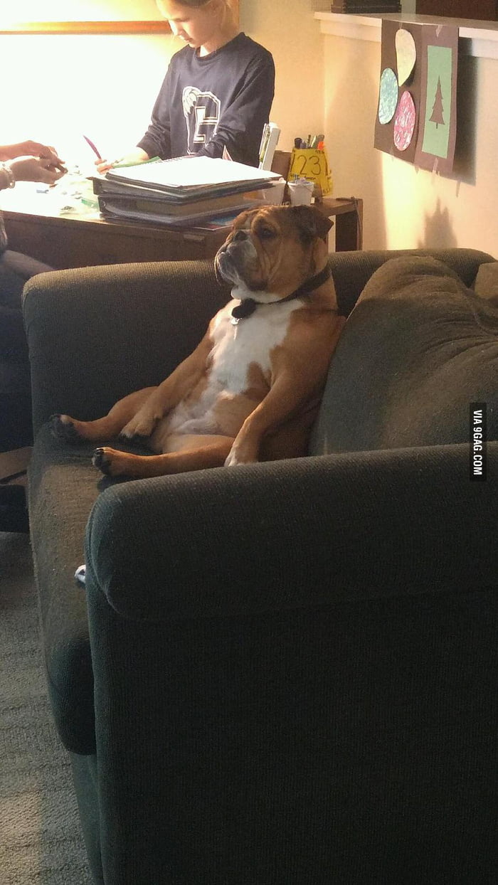 She needs a beer and the TV remote - 9GAG