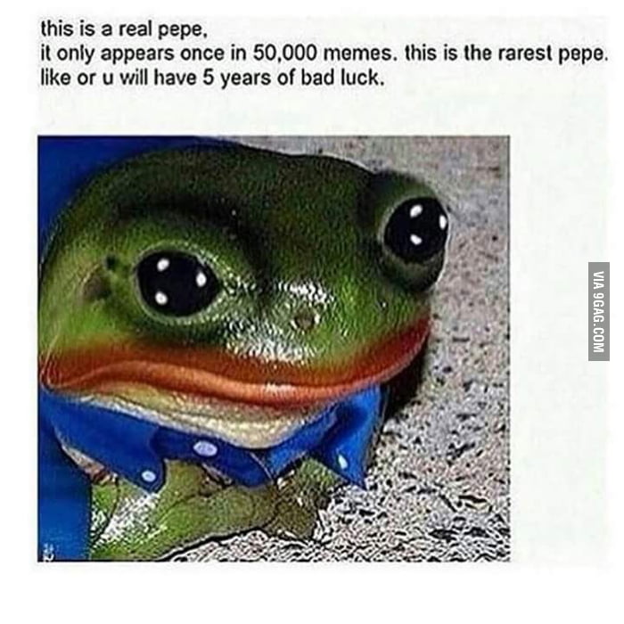 The real Pepe frog! - 9GAG