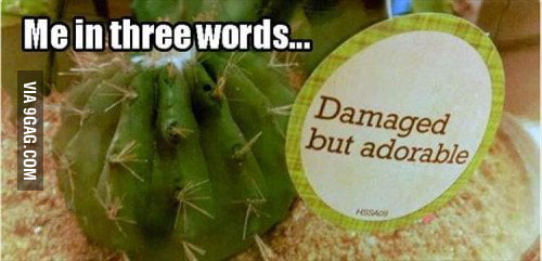 Me in three words - 9GAG